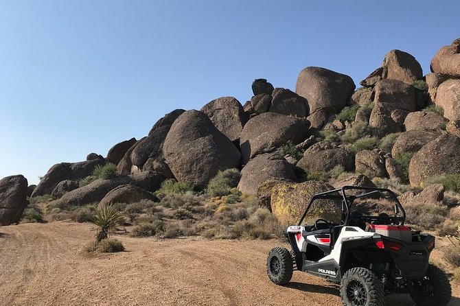 Ultimate Las Vegas RZR Adventure: Hidden Valley and Primm - The Experience from the Traveler’s Perspective