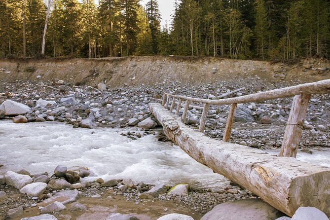 Ultimate Mount Rainier National Park Self-Guided Driving Tour - The Experience: What You Need to Know