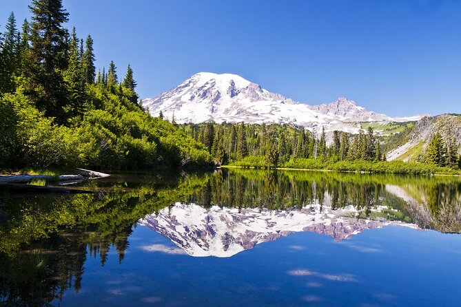 Ultimate Mount Rainier National Park Self-Guided Driving Tour - Who Will Love This Tour?