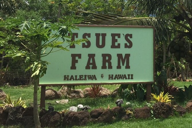 Ultimate North Shore Adventure: Full-Day Hawaiian Experience - Key Points