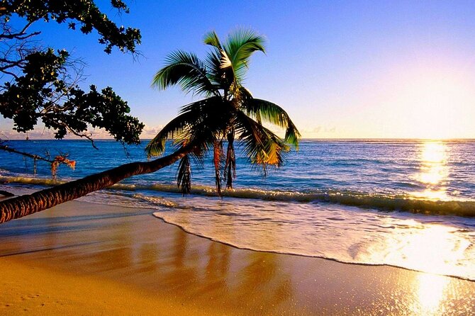 Ultimate North Shore Adventure: Full-Day Hawaiian Experience - Practical Details and What to Expect