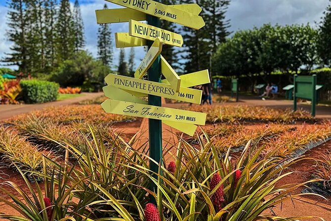 Ultimate North Shore Adventure: Full-Day Hawaiian Experience - FAQ
