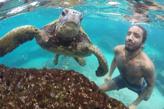 Ultimate Ocean Encounters Midday Snorkel - The Value of the Experience: Is It Worth $80?