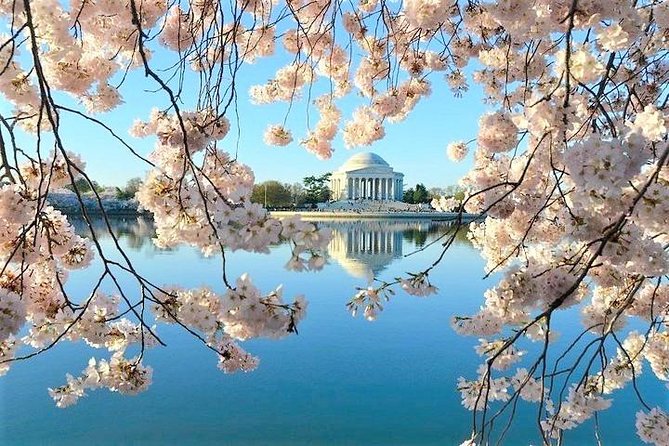 Ultimate Private City Tour of Washington DC - Up to 5 Guests - Final Thoughts: Is This Tour Right for You?