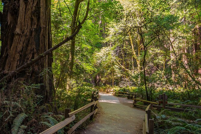 Ultimate San Francisco Tour: Alcatraz, Muir Woods and Sausalito - Who Is This Tour Best For?