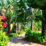 Ultimate Self-Driving Audio Tour of Road to Hana, Maui - What We Think About the Experience