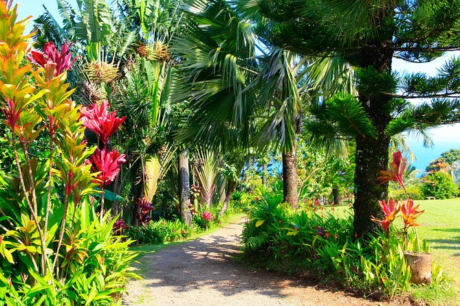Ultimate Self-Driving Audio Tour of Road to Hana, Maui - What We Think About the Experience