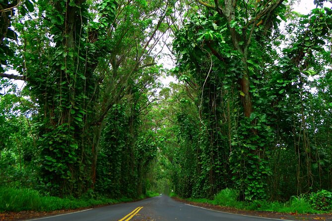 Ultimate Self-Guided Audio Driving Tour of Kauai (Na Pali, Waimea), Hawaii - Who Is This Tour Best For?