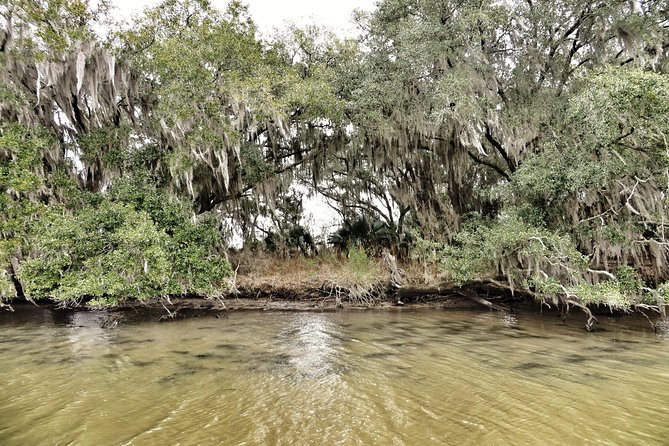Ultimate Swamp Tour Experience with Transportation from New Orleans - The Sum Up