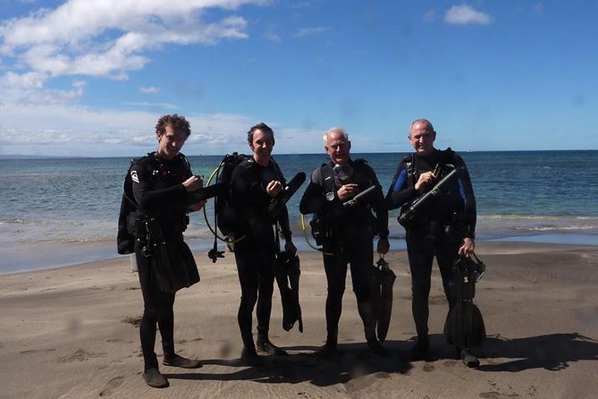 Underwater Scooter Dive (Certified Divers Only) Makena Wailea - An Overview of the Experience