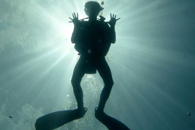Underwater Scooter Dive (Certified Divers Only) Makena Wailea - Price and Value