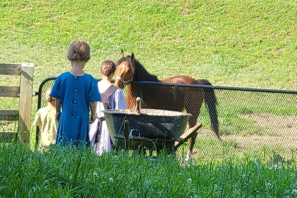Unique Amish Immersion Experience - The Sum Up