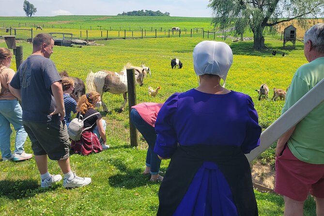 Unique Amish Immersion in Lancaster - Introducing the Lancaster Amish Experience: Authenticity and Insight in a Small-Group Setting