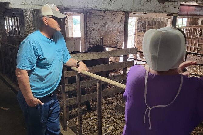 Unique Amish Immersion in Lancaster - A Deep Dive Into the Itinerary: What to Expect
