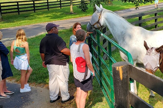 Unique Horse Farm Tours with Insider Access to Private Farms - A Few Considerations
