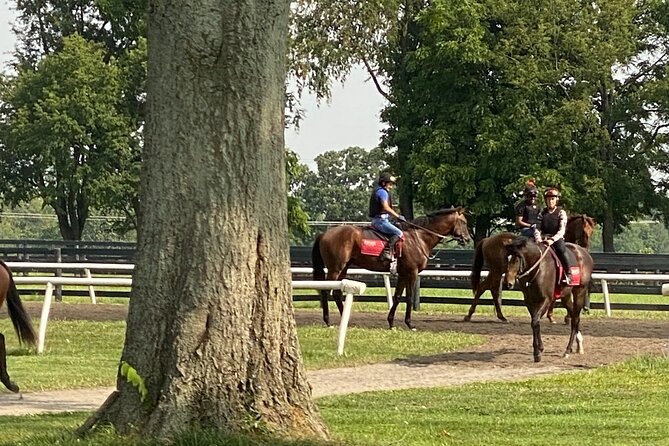 Unique Horse Farm Tours with Insider Access to Private Farms - The Sum Up