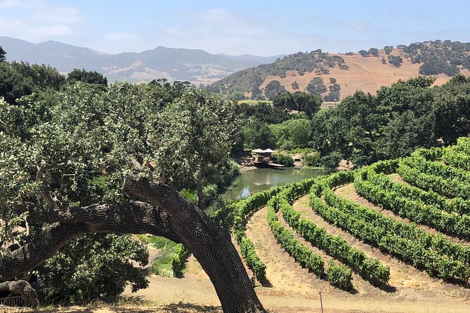 Unique Santa Barbara Wine Country Private Wine Tours and Tastings - Authentic Experiences from Guest Reviews
