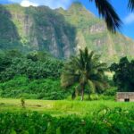 Uniquely Personalized Private Island Tour on Oahu, Hawaii - Highlighted Stops and Their Appeal