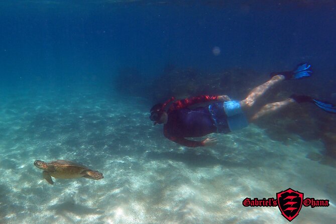 Unlimited Guided Kayaking and Snorkeling Tour-Olowalu - Introduction