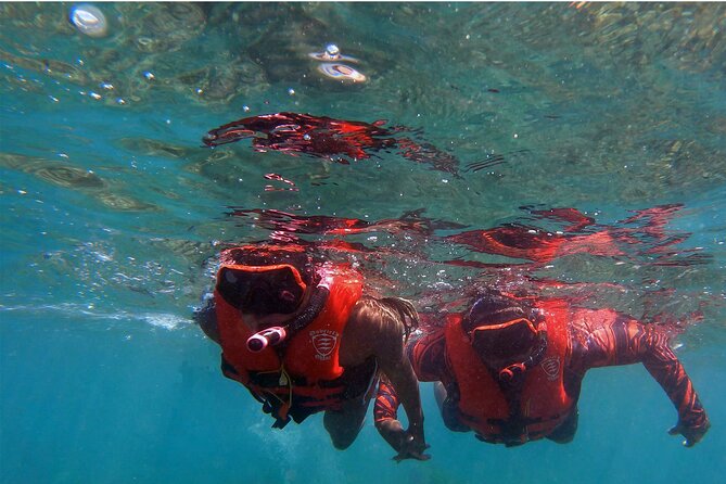 Unlimited Guided Kayaking and Snorkeling Tour-Olowalu - Value and Pricing