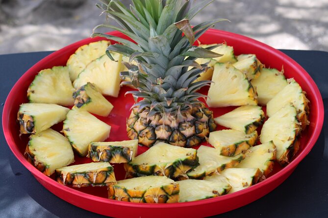 Unlimited Guided Kayaking and Snorkeling Tour-Olowalu - Summary of Benefits 