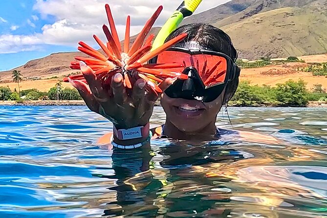 Unlimited Guided Snorkeling Tour for Beginners Plus - Who Will Love This Tour?