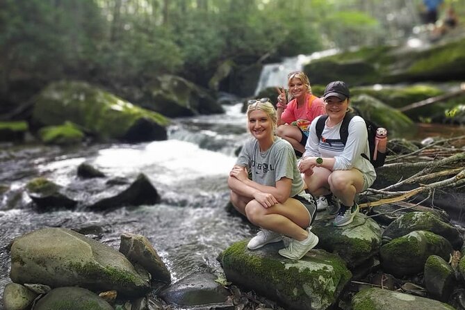 Unplugged Waterfall Hike in the Smokies - Unplugged Waterfall Hike in the Smokies: A Deep Dive into a Unique Nature Experience