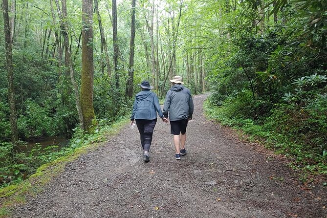 Unplugged Waterfall Hike in the Smokies - Authentic Experiences and Review Insights