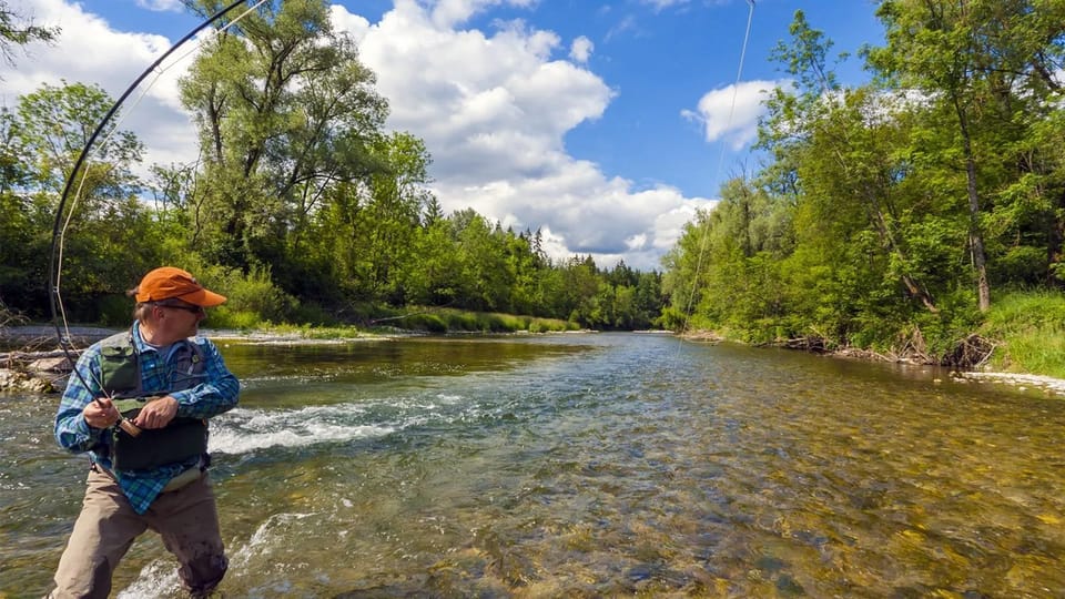 Upper Colorado River Guided Fly Fishing Trip - Upper Colorado River Guided Fly Fishing Trip Review