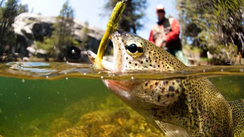 Upper Colorado River Guided Fly Fishing Trip - Final Thoughts