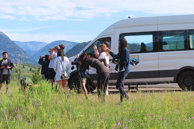 Upper Loop Tour and Lamar Valley from West Yellowstone with Lunch - Who Would Love This Tour?
