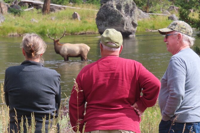 Upper Loop Tour and Lamar Valley from West Yellowstone with Lunch - The Sum Up