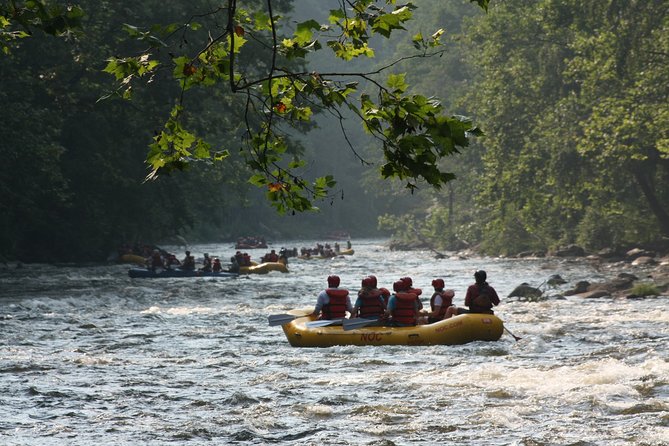 Upper Pigeon River Whitewater Rafting - The Location and Meeting Point: Easy Access to Adventure
