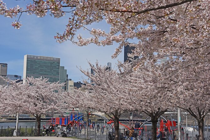 Uptown to Midtown Roosevelt island tour - What’s Included and What’s Not