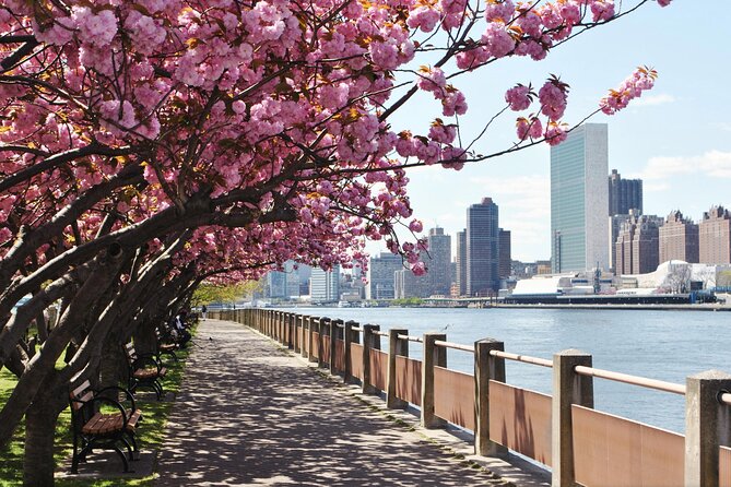 Uptown to Midtown Roosevelt island tour - The Sum Up: Is It Worth It?