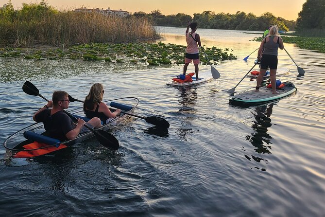 Urban Clear Kayak or Clear Paddleboard in Paradise: Morning/Night - What Makes This Tour Worth It?