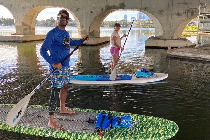 Urban Clear Kayak or Clear Paddleboard in Paradise: Morning/Night - Who Should Consider This Tour?
