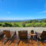 USA/California/Napa: Private Wine Tour for up to 6 guests - The Itinerary: A Deep Dive