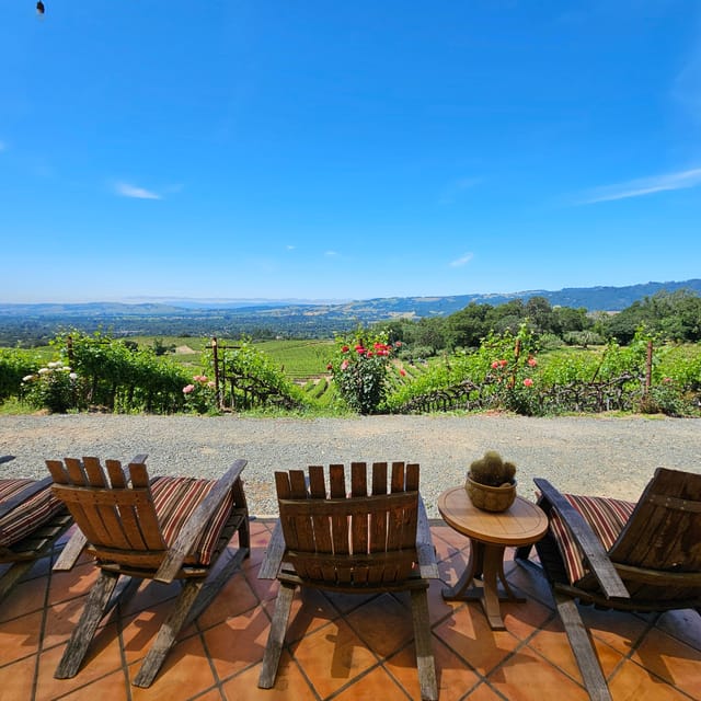 USA/California/Napa: Private Wine Tour for up to 6 guests - The Itinerary: A Deep Dive