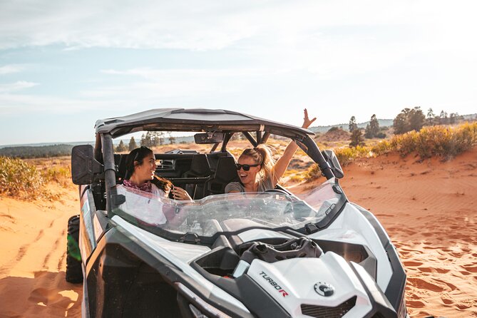 UTV Dune Cruise and Surf at Coral Pink Sand Dunes - Who Will Love This Tour?