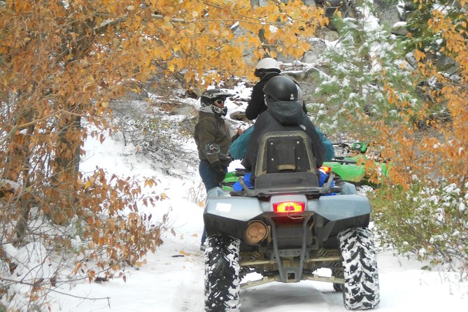 UTV OR Snow Mobile & Snowshoe Winter Adventures from Reno - What Makes This Tour Stand Out