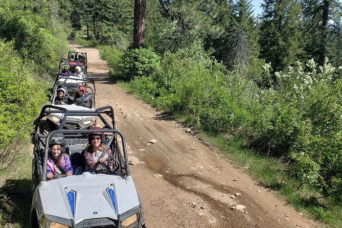 UTV Rental in North Idaho - Discover the Freedom of a Solo or Group UTV Adventure