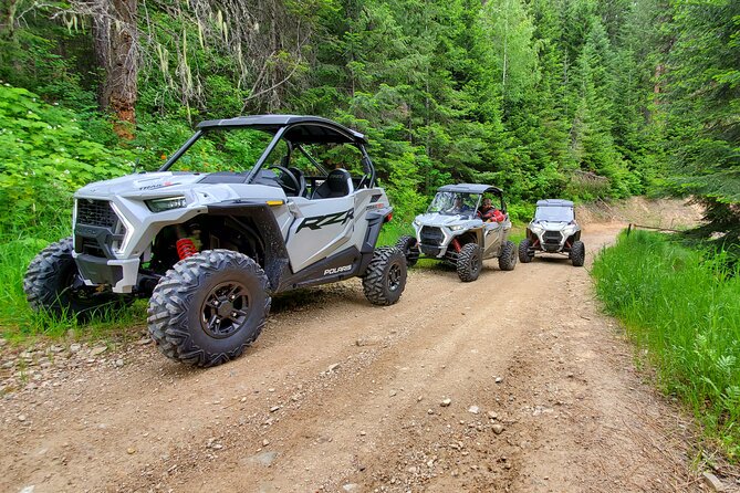 UTV Rental in North Idaho - Who Will Love This Experience?