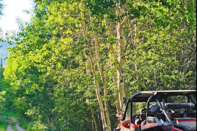 UTV Tour of Big Springs, Flats, and Sawtell Peak - The Itinerary in Detail