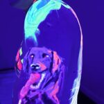 UV Body Painting Experience for Couples in Brooklyn - Why This Experience Offers Great Value