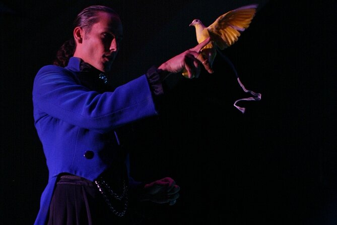 V - The Ultimate Variety Show at Planet Hollywood Resort and Casino - The Experience for Different Types of Travelers