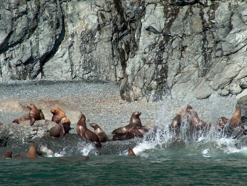 Valdez: 6-Hour Columbia Glacier Cruise - Final Thoughts: Who Will Love This Tour?