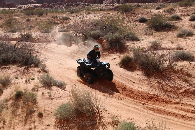 Valley of Fire 3-Hour ATV Tour from Las Vegas - What the Reviews Tell Us