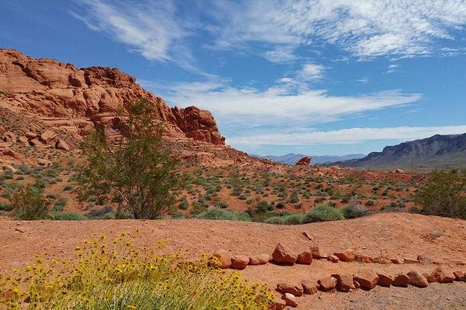 Valley of Fire Hike from Las Vegas - Why This Tour Offers Great Value