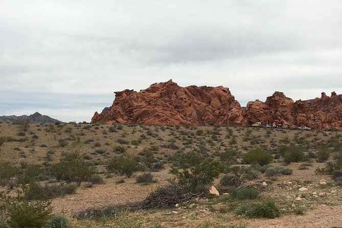Valley of Fire & Zion Park, 1-Day Tour from Las Vegas - Who Is This Tour Best For?